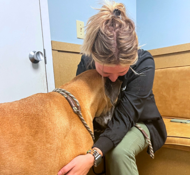 CareCredit | Seminole, FL | Oakhurst Veterinary Hospital